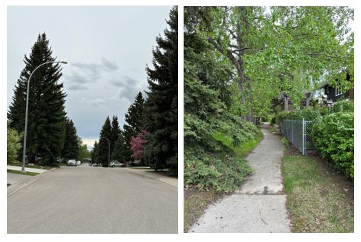 Civic Affairs - Varsity Community Centre